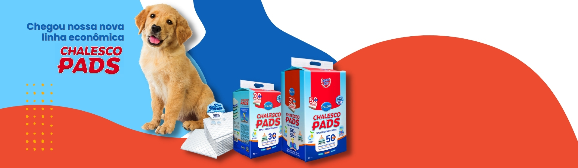 American Pet's – Muito mais que importadora: Qualidade para Pets